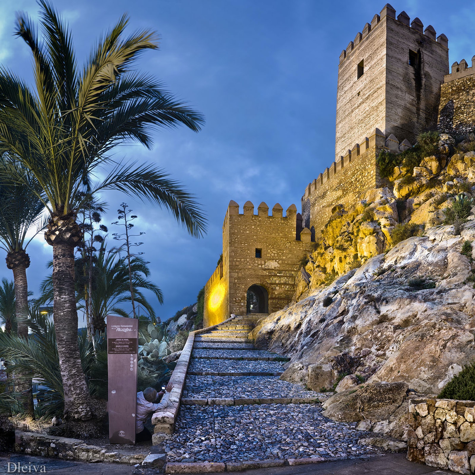 Alcazaba of Almería: Guided Tour - Amazing Days Out 2022